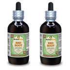 HerbalTerra Red Root Glycerite benefits