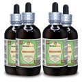 HerbalTerra Shatavari glycerite benefits