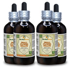 HerbalTerra small flower tincture benefits