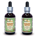 HerbalTerra stinging nettle glycerite benefits