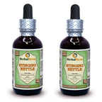 HerbalTerra stinging nettle glycerite benefits