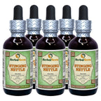 HerbalTerra stinging nettle glycerite benefits