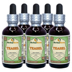 HerbalTerra Teasel Glycerite benefits