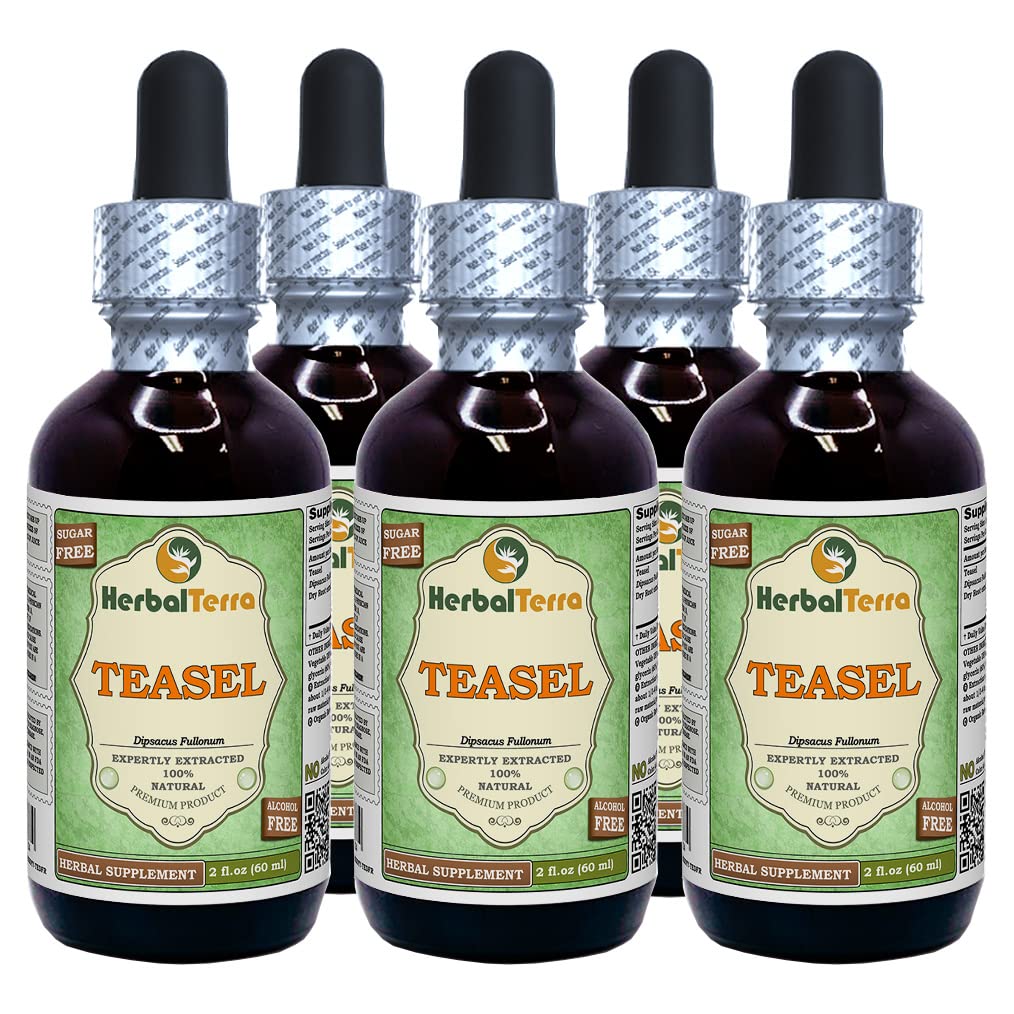 HerbalTerra Teasel Glycerite benefits