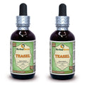 HerbalTerra Teasel Glycerite benefits