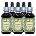HerbalTerra Umckaloabo alcohol-free extract
