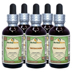 HerbalTerra Umckaloabo alcohol-free extract