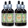 HerbalTerra Yellow Dock Glycerite benefits