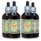HerbalTerra Yellow Dock Glycerite benefits