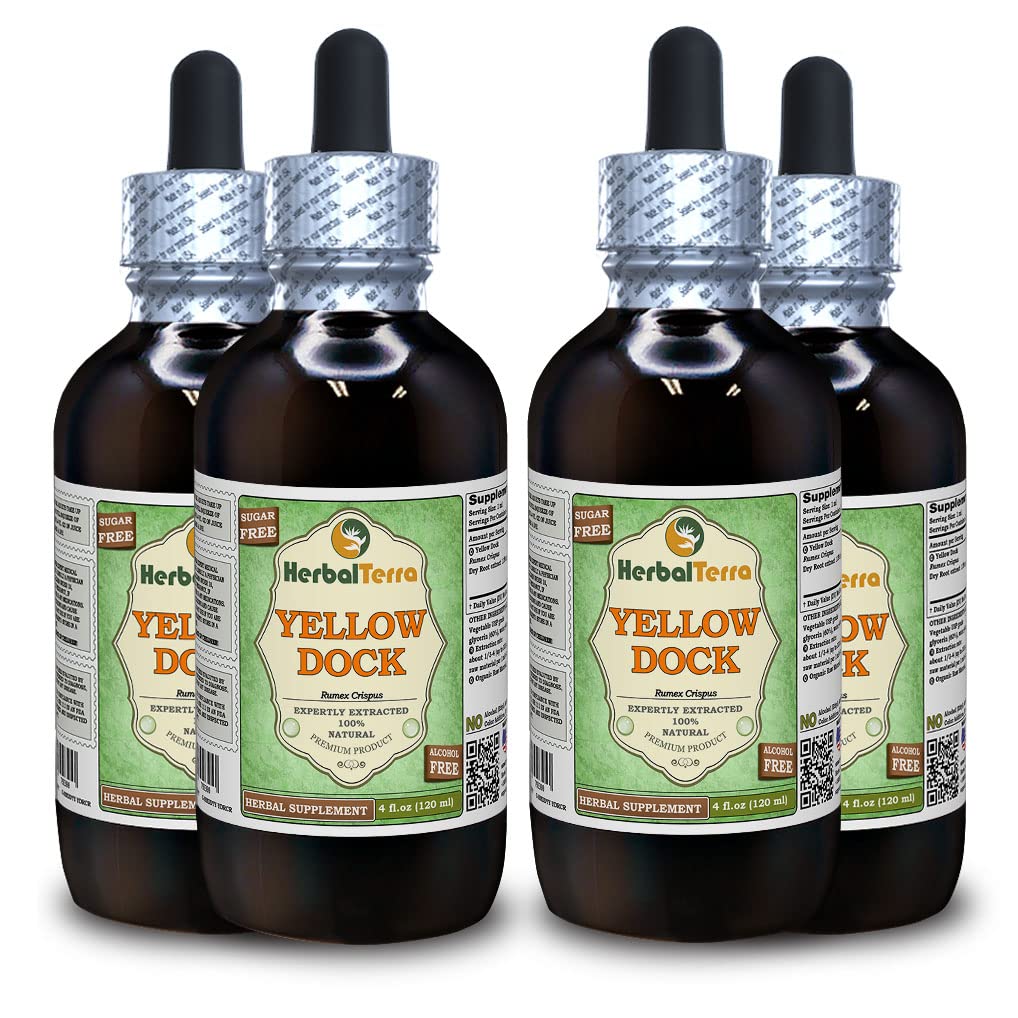 HerbalTerra Yellow Dock Glycerite benefits
