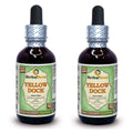 HerbalTerra Yellow Dock Glycerite benefits