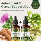 HERBAMAMA Burdock Root immune support