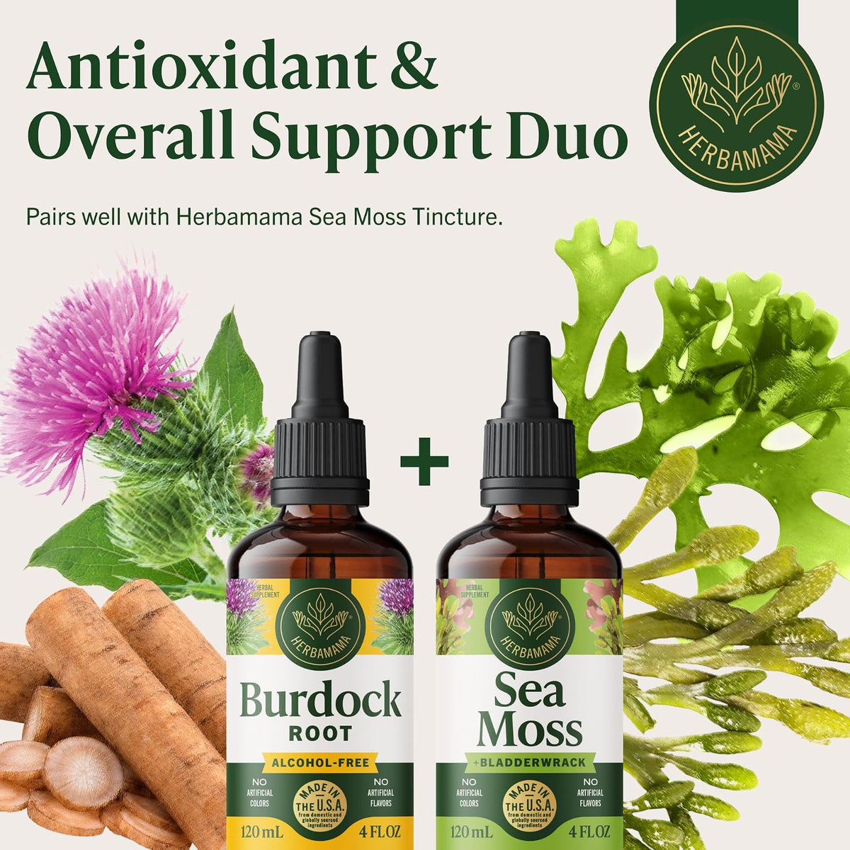 HERBAMAMA Burdock Root immune support
