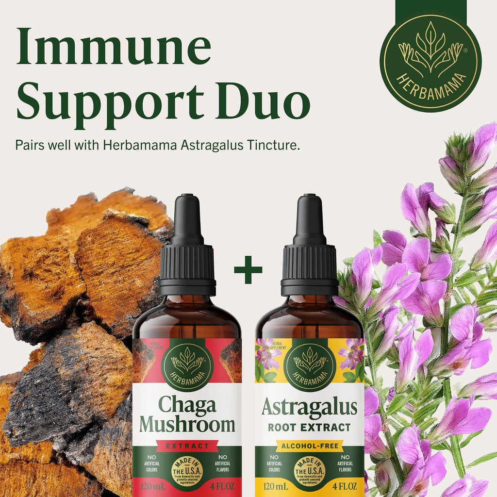 HERBAMAMA Chaga for enhanced focus