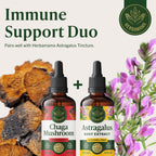 HERBAMAMA Chaga for enhanced focus