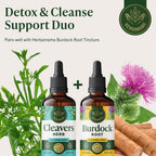 HERBAMAMA Cleavers drops for detoxification