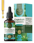 HERBAMAMA Cryptolepis tincture immune support