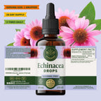 HERBAMAMA Echinacea for overall vitality