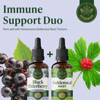 herbamama elderberry syrup for seasonal support
