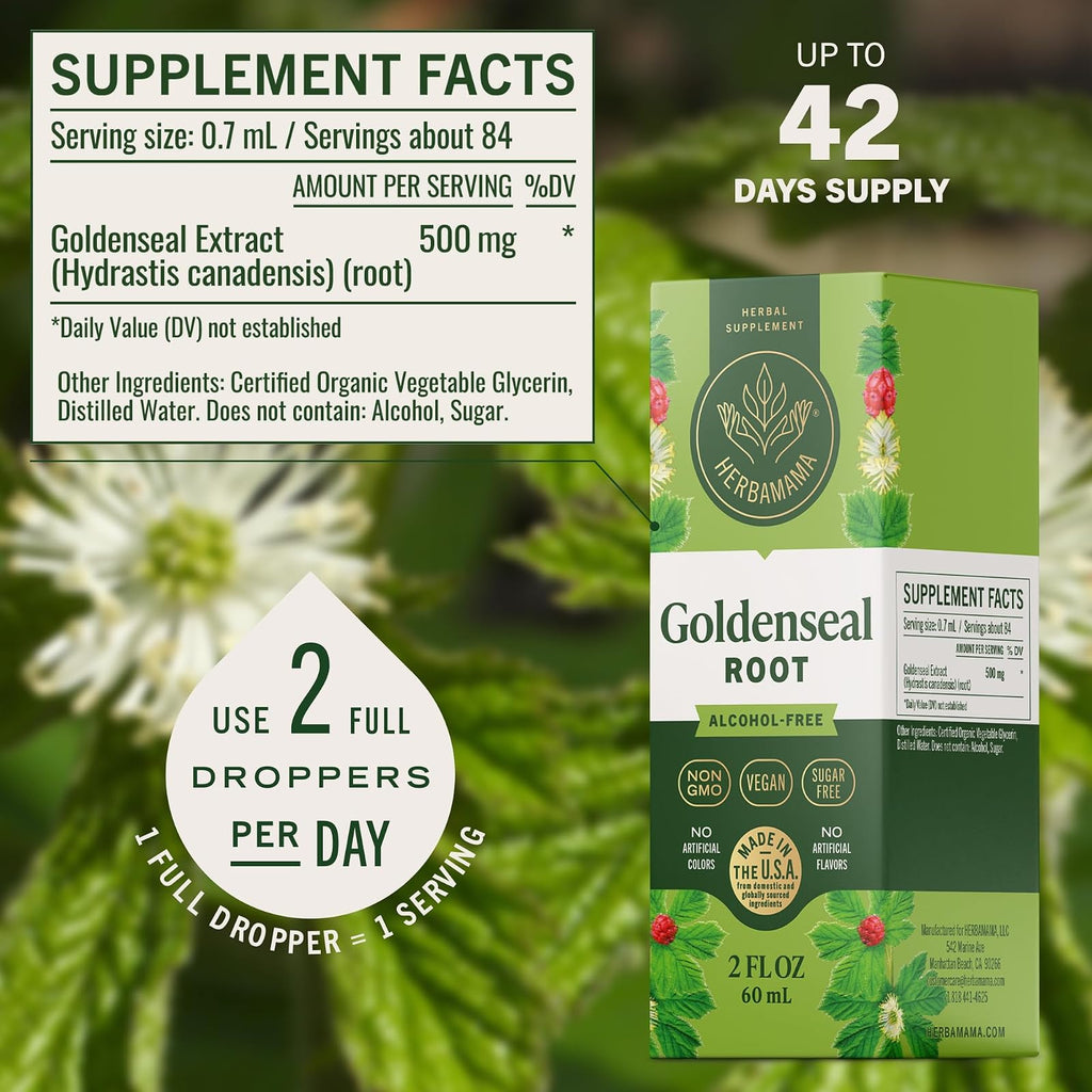 HERBAMAMA Goldenseal tincture for digestive health