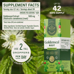 HERBAMAMA Goldenseal tincture for digestive health