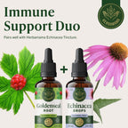 HERBAMAMA Goldenseal tincture for seasonal allergies