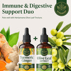 HERBAMAMA herbal turmeric ginger blend