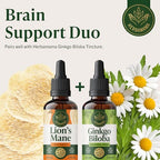 HERBAMAMA lion's mane immune boost