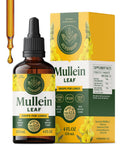 HERBAMAMA Mullein Drops for lung health