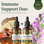 HERBAMAMA mushroom extract for vitality