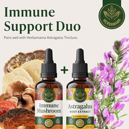HERBAMAMA mushroom extract for vitality