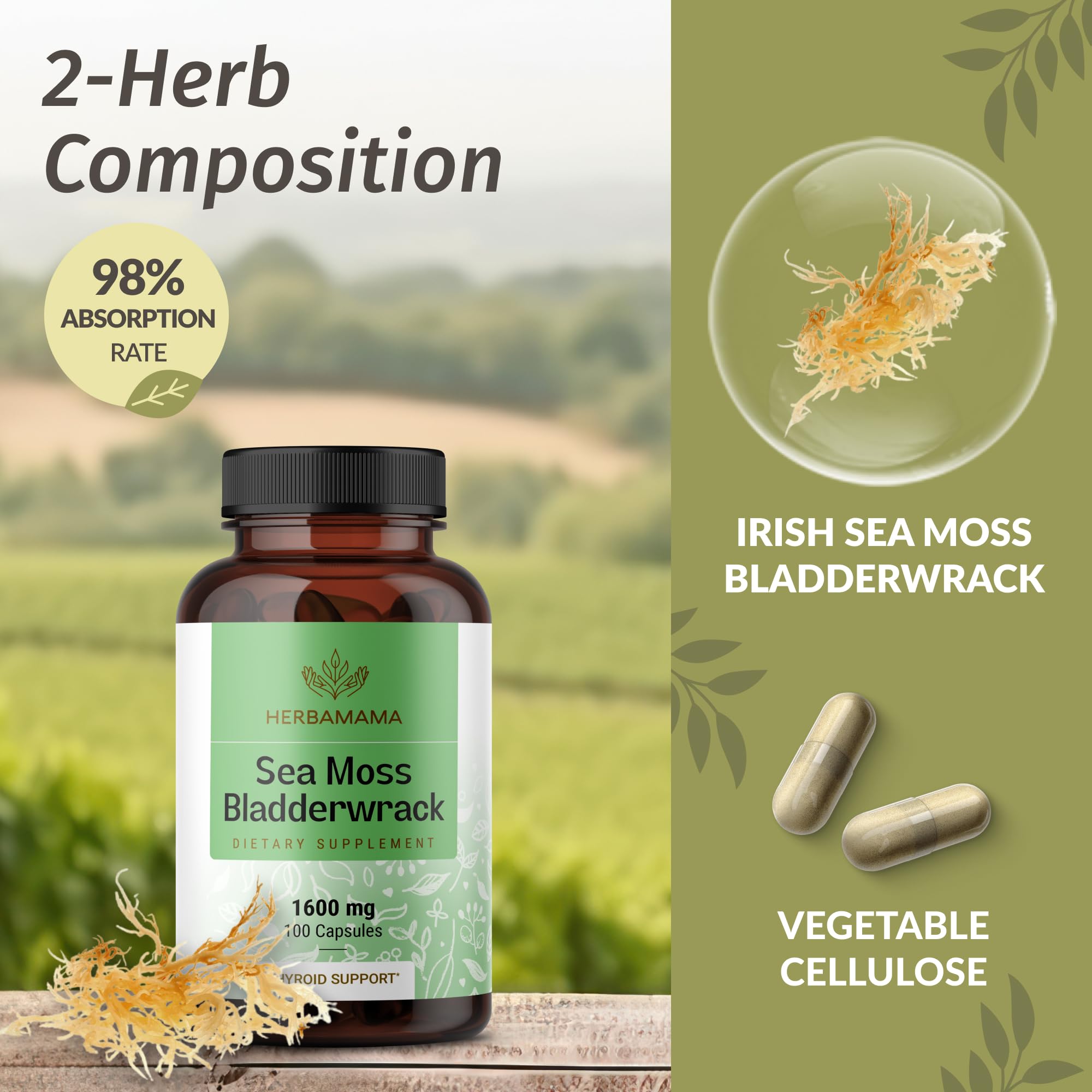 HERBAMAMA sea moss for overall wellness