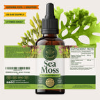 HERBAMAMA sea moss liquid extract