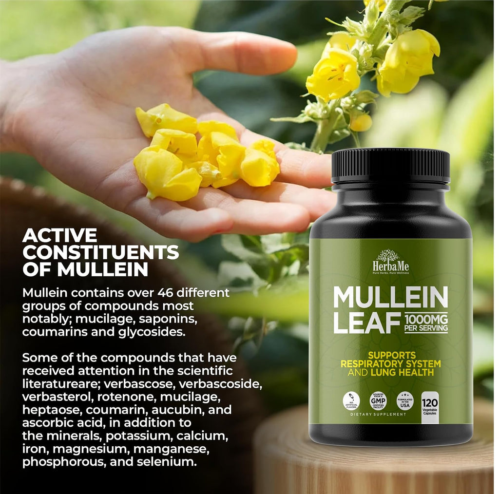 HerbaMe Mullein for immune system support