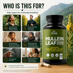 HerbaMe Mullein Leaf for seasonal allergy relief