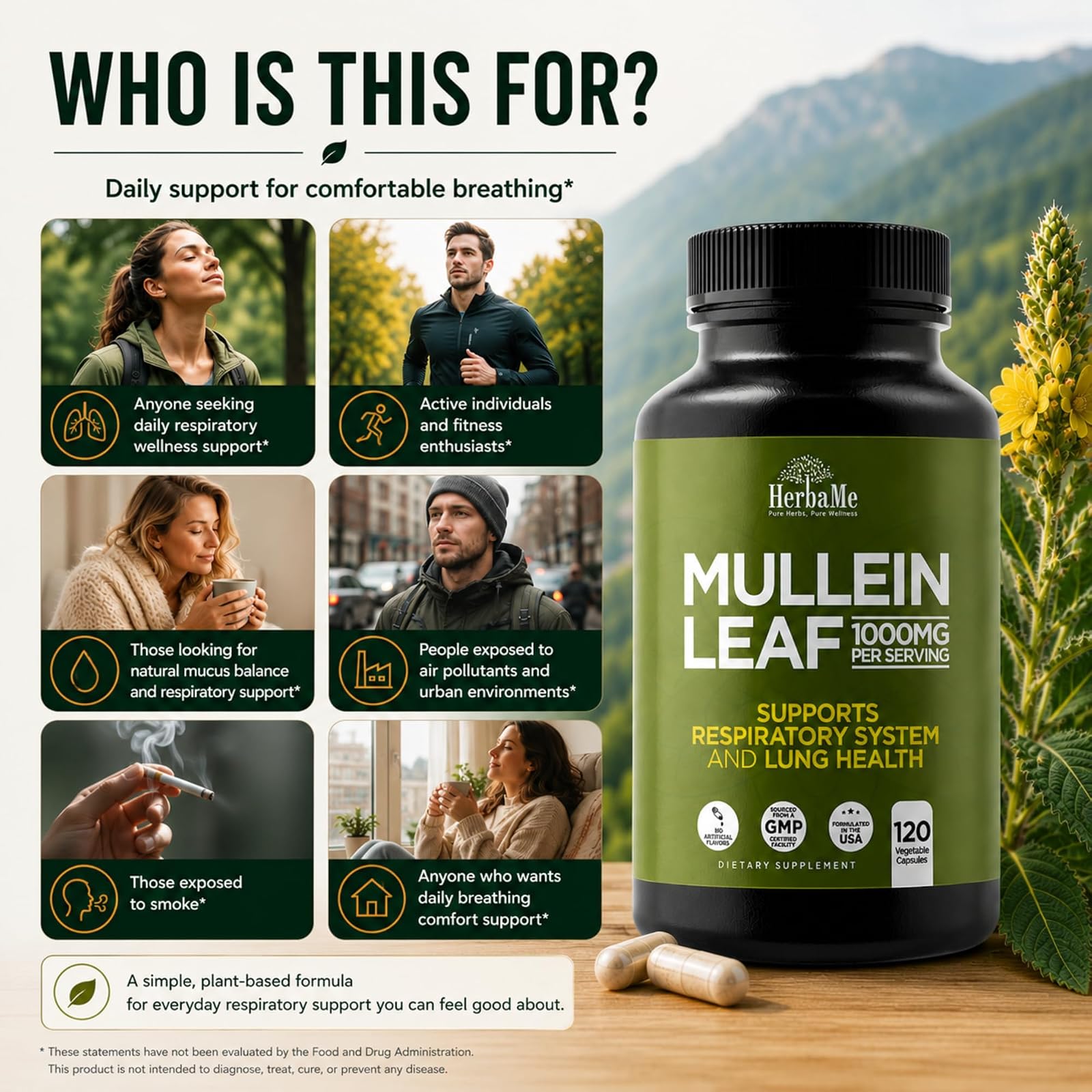 HerbaMe Mullein Leaf for seasonal allergy relief