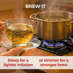 HerbaZest herbal tea for wellness