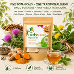 Herbe herbal tea for wellness