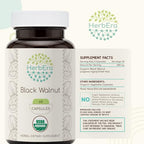 HerbEra Black Walnut for digestive health