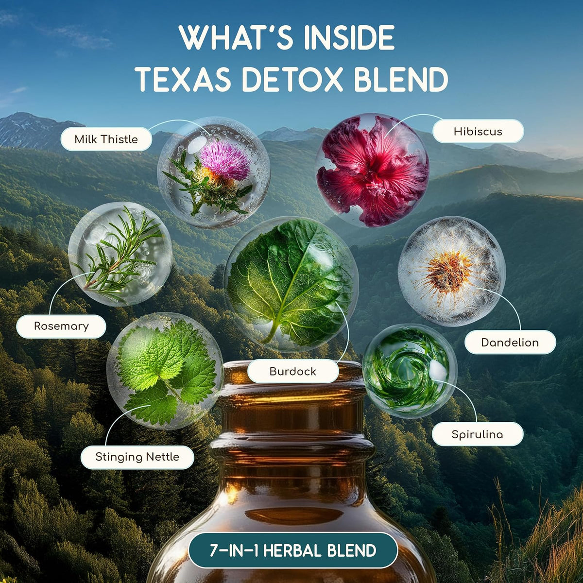 HerbEra detox blend for energy boost