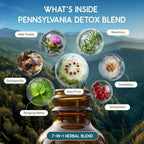 HerbEra detox blend for energy boost