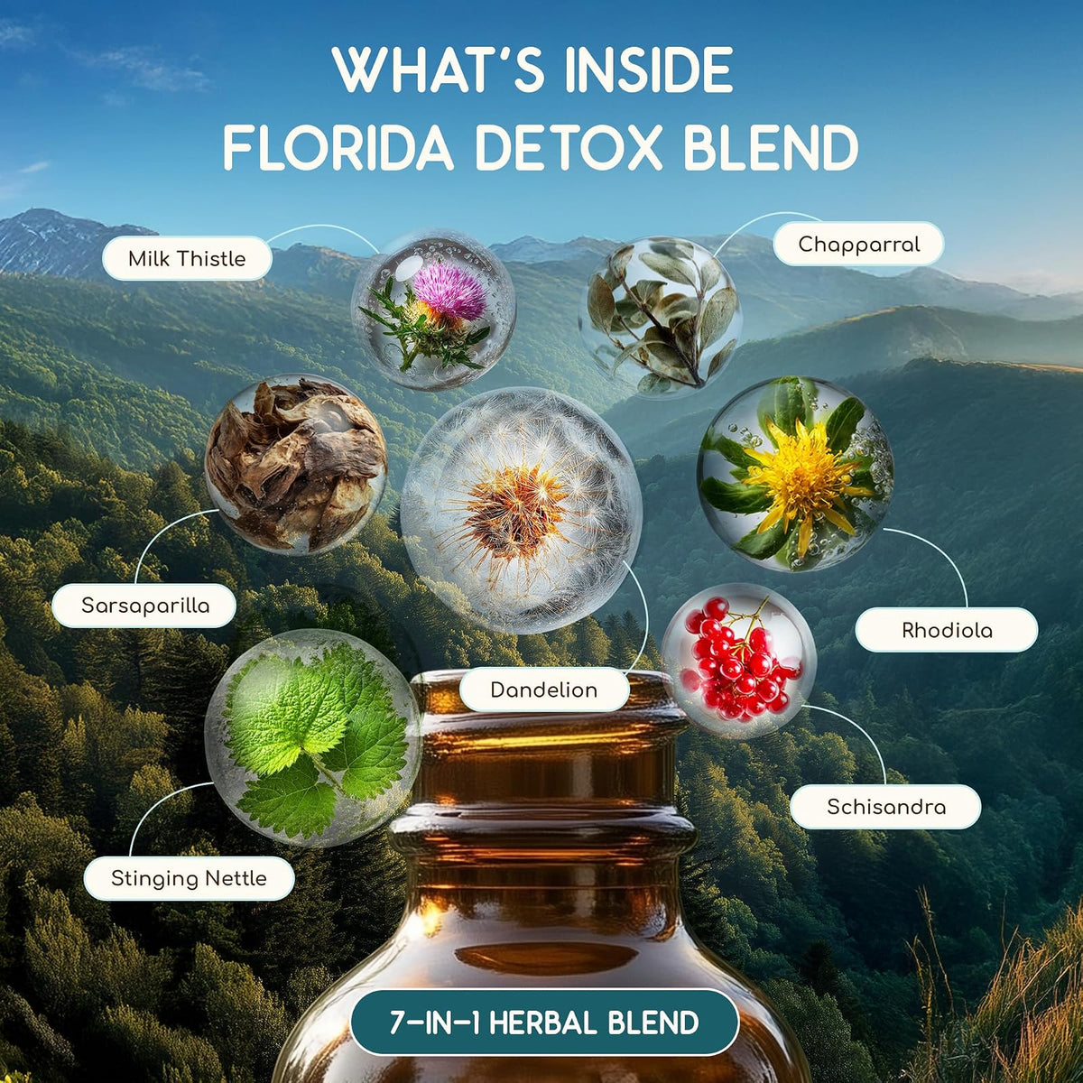 HerbEra detox blend for energy boost