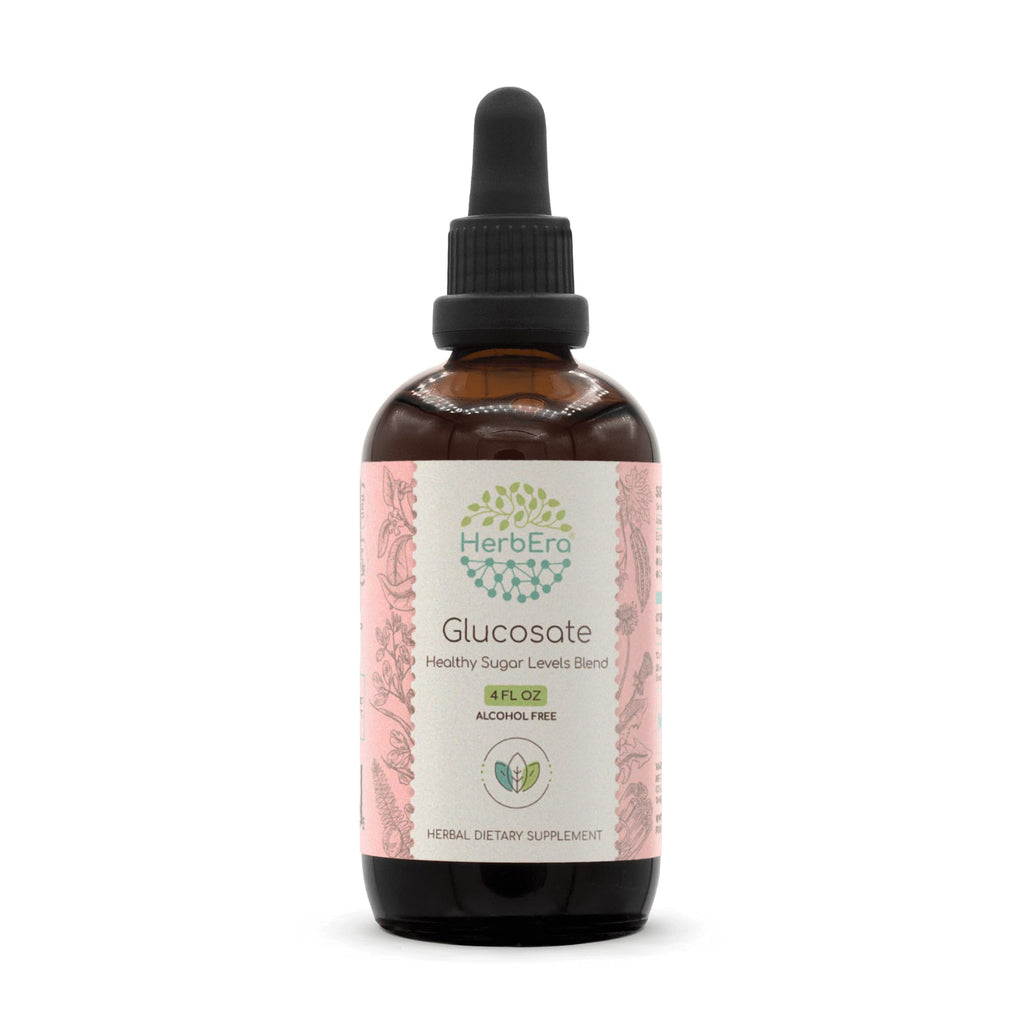 HerbEra echinacea extract for immunity