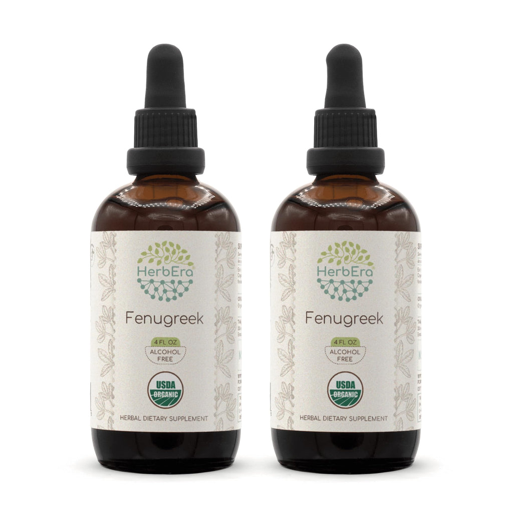 HerbEra echinacea tincture for wellness