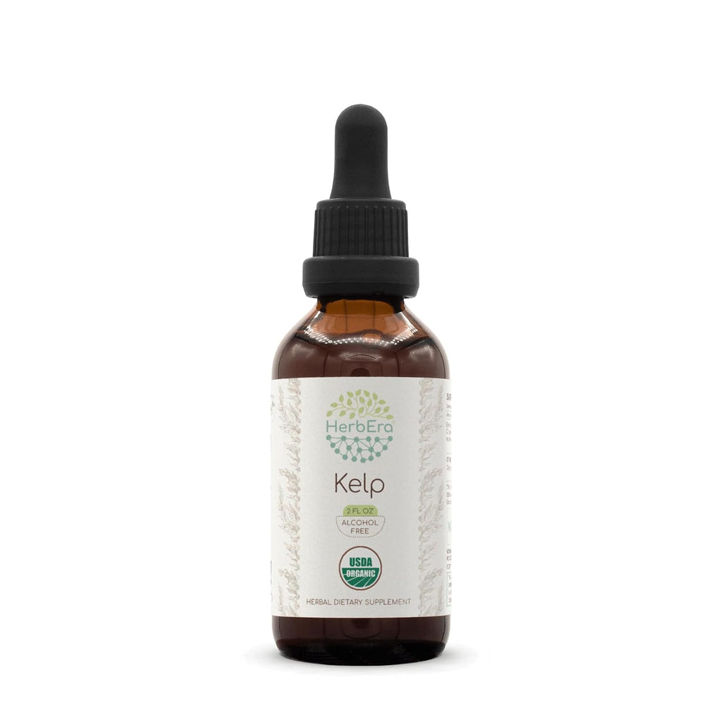 HerbEra kelp liquid extract benefits