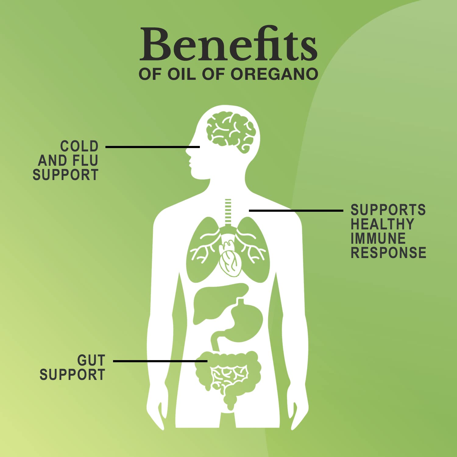 Herbies oregano for holistic health solutions