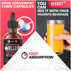 HERBIFY Mullein Drops for wellness routine