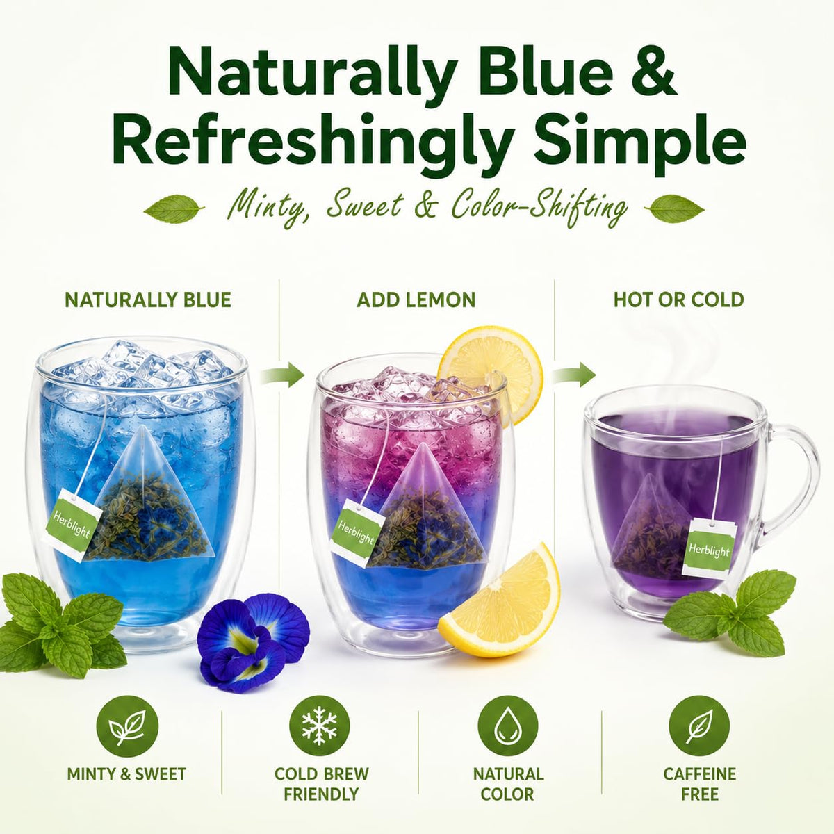 Herblight mullein tea for wellness