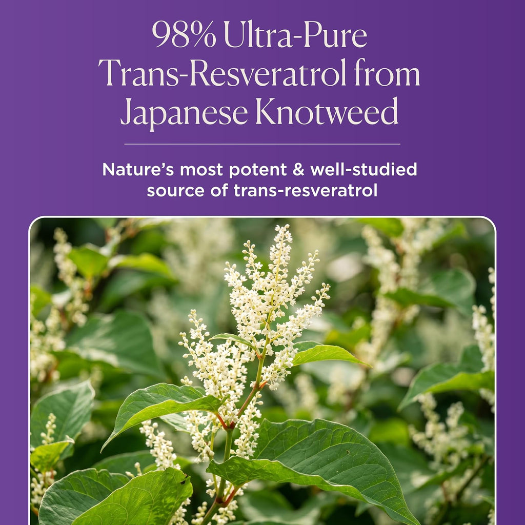 HERBMASTER Resveratrol Plus anti-aging properties