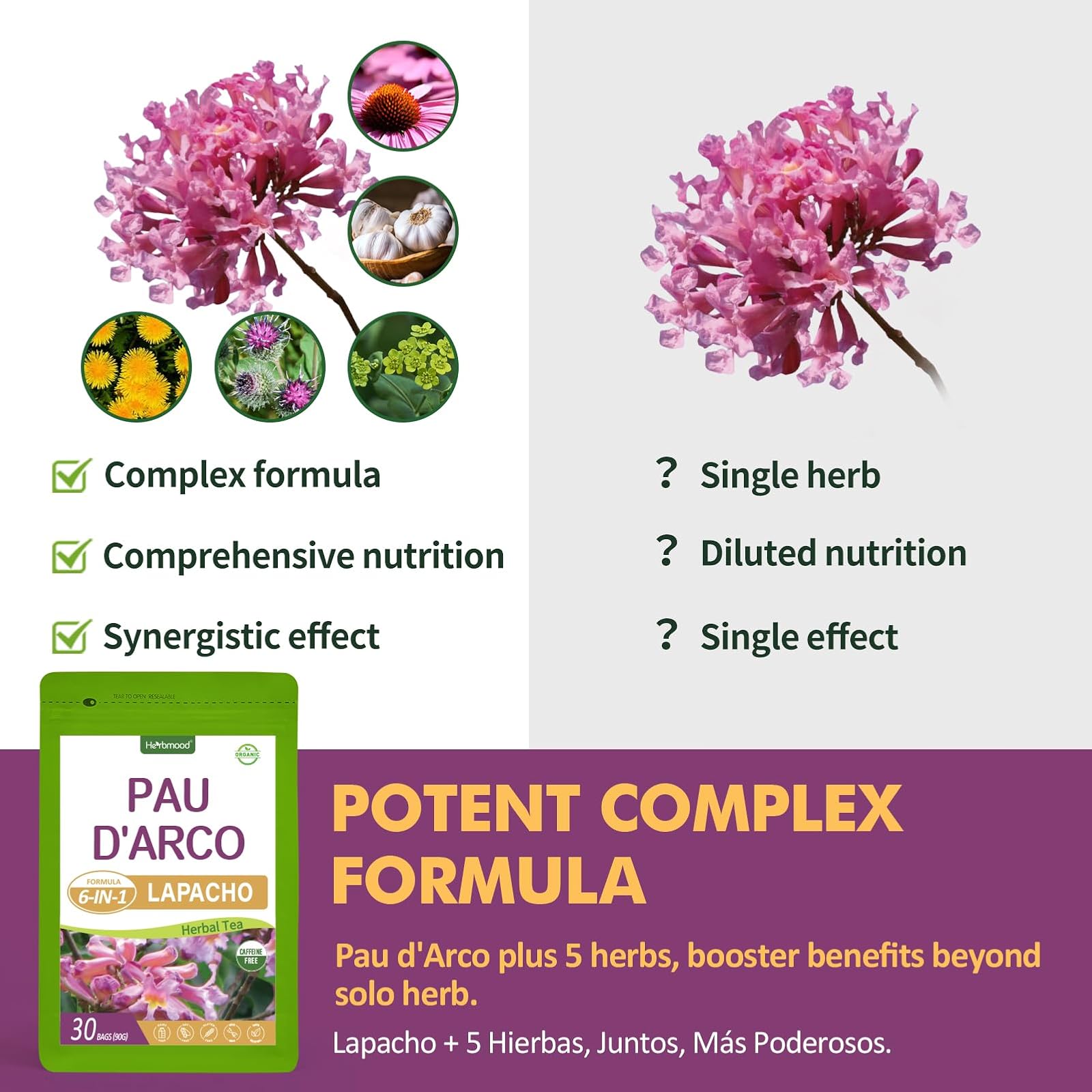 Herbmood herbal tea for immune support
